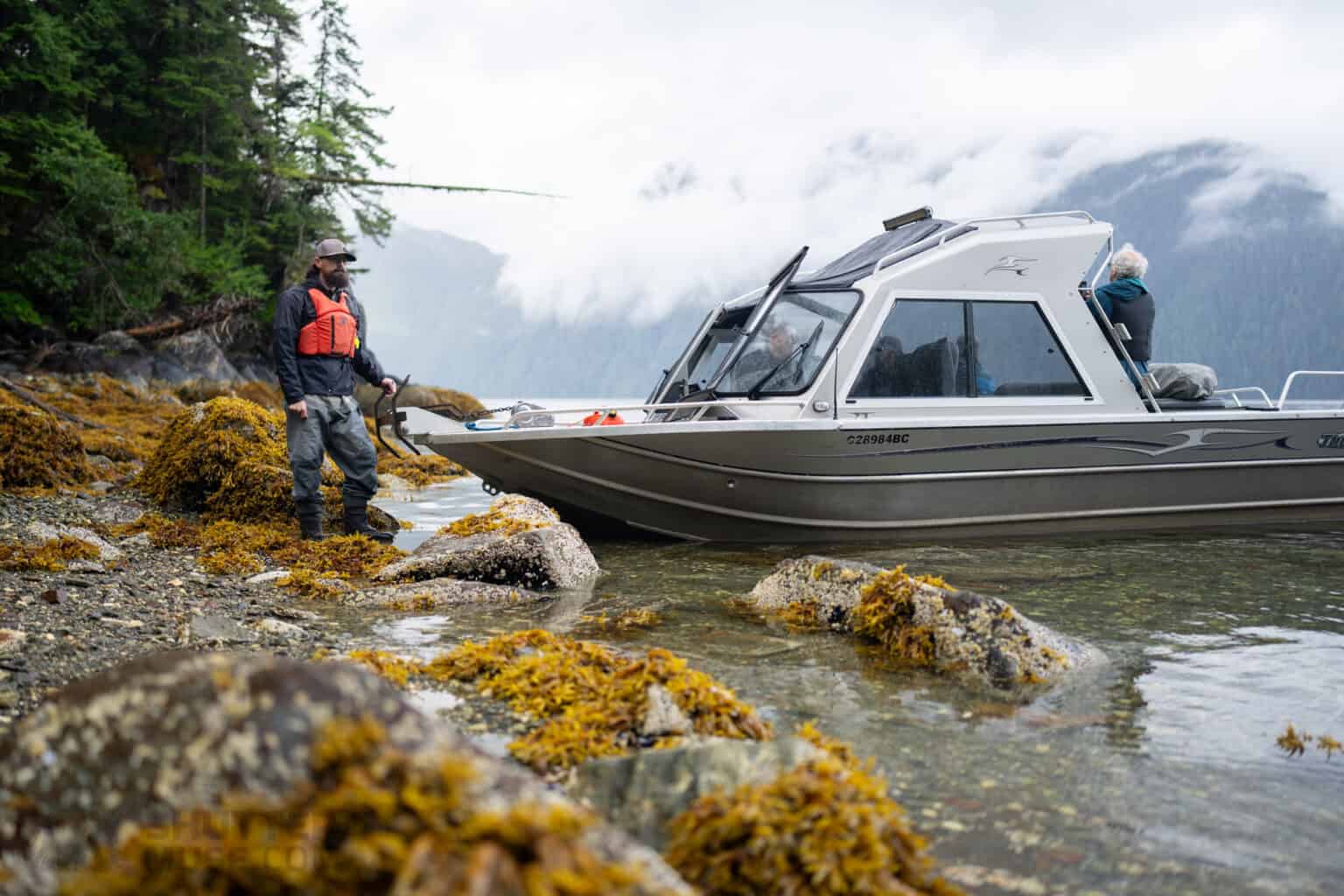 10 Top Tips for Photographing Wildlife from a Boat