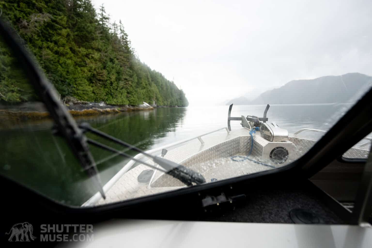 10 Top Tips for Photographing Wildlife from a Boat