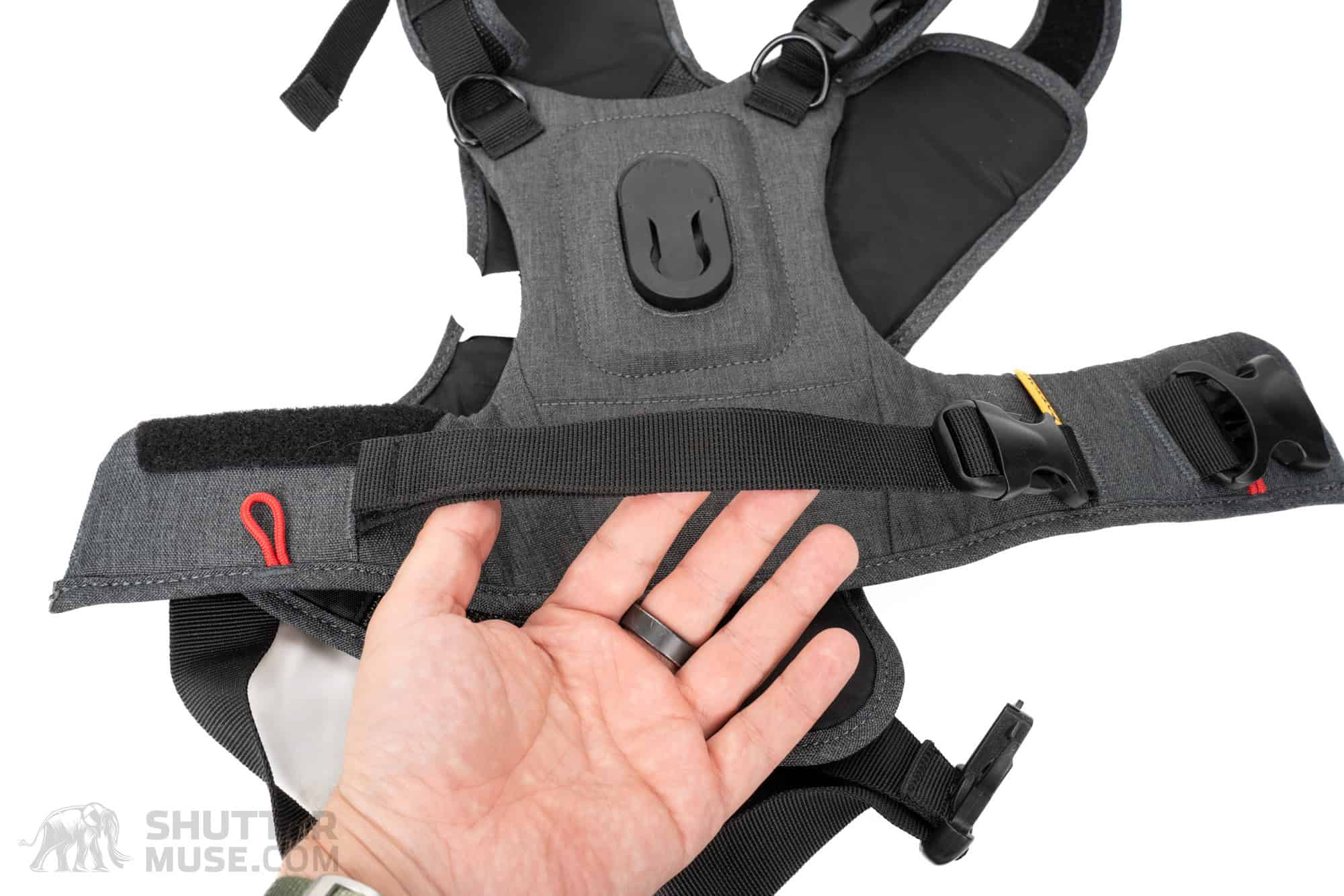 Cotton Carrier G3 Camera Harness Review - Does It Work?