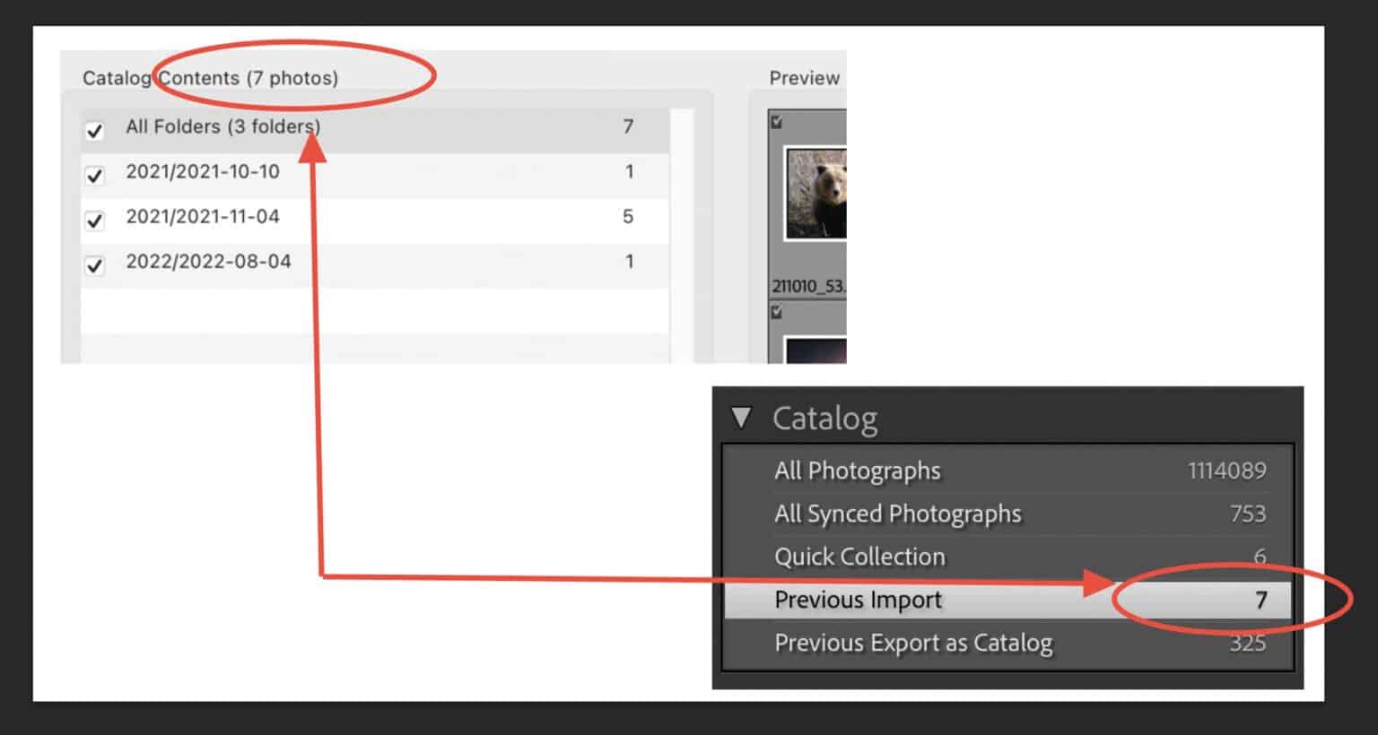 How to Manage Your Lightroom Catalog While Traveling