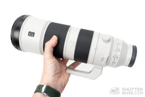The Best Sony Lenses for Wildlife Photography in 2026