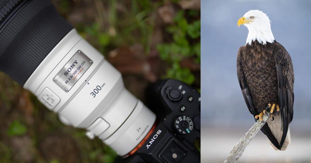 Shutter Muse - Photography Reviews, Tutorials and Industry News