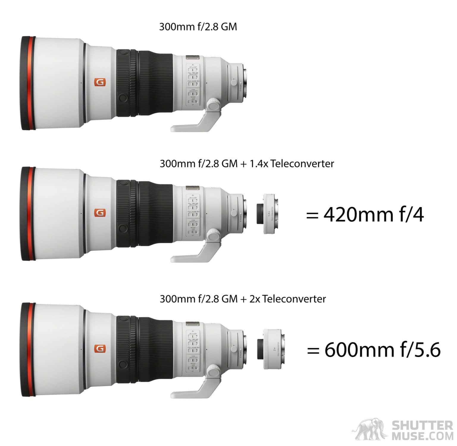 Sony 300mm f/2.8 GM Teleconverter Performance (1.4x and 2x ...
